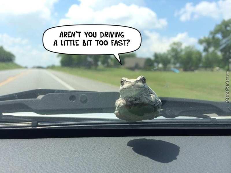 The Frog Blog - How nature can teach us to stop resisting the flow of ...